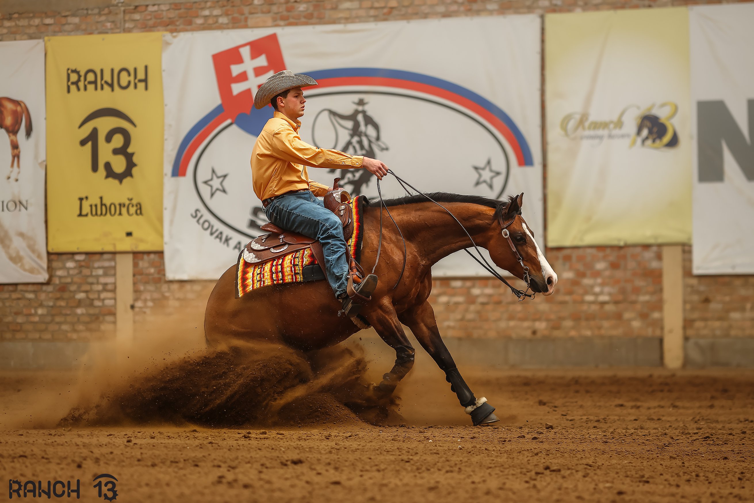 Reining NRHA April Slide Spring DERBY (NRHA + SAWRR) 24.-27.4.2025 | RANCH 13