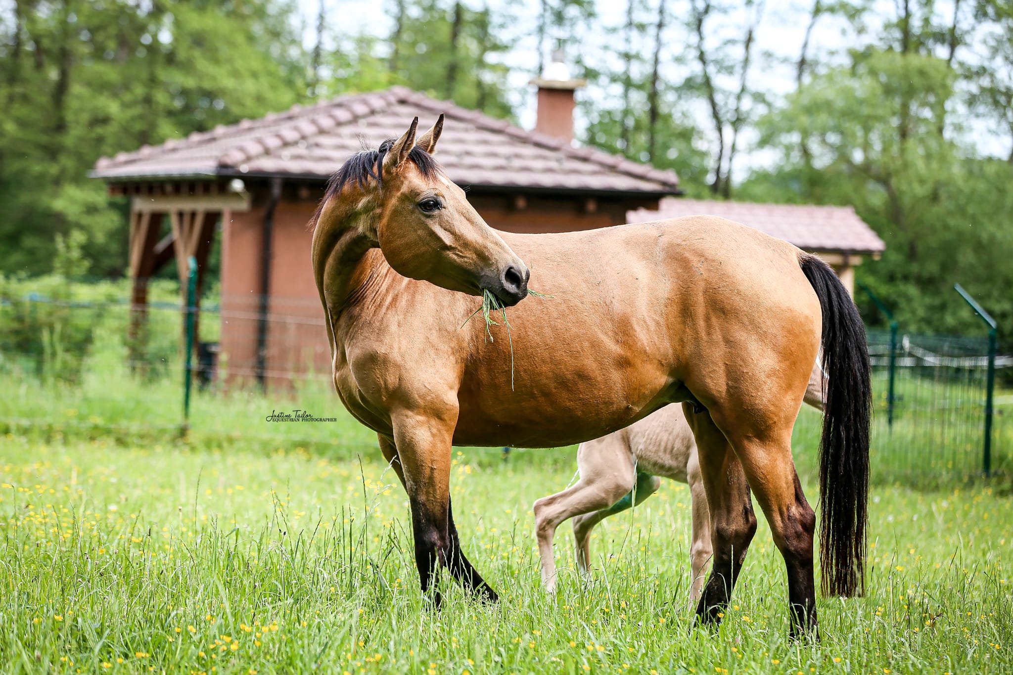 DB Smart Lopez | RANCH 13